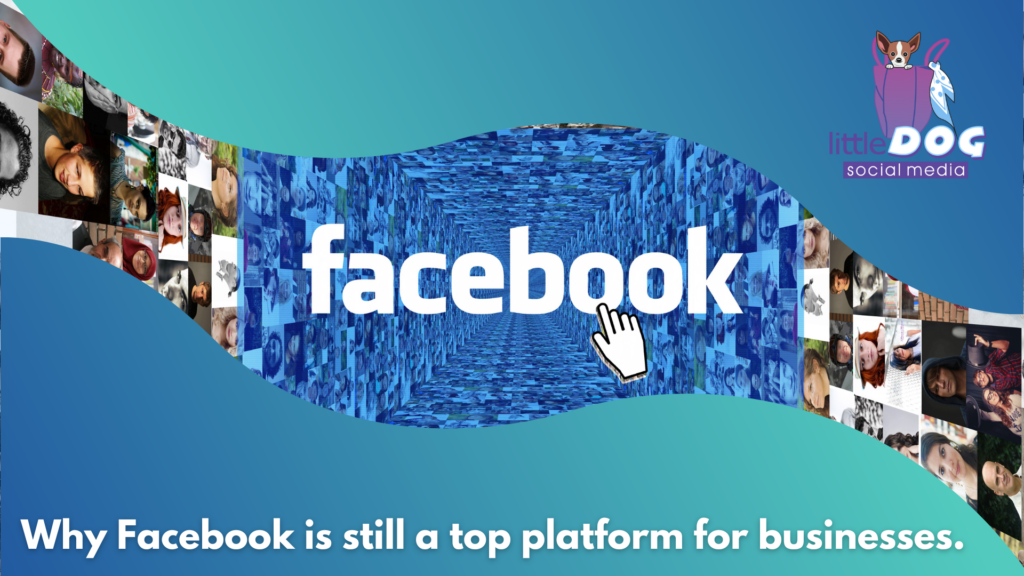 Why Is Facebook still a top platform for businesses? - Little Dog ...